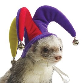 Spencer Longo on Metalabel